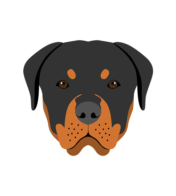American Rottweiler Dog Face - Design Shop by AquaDigitizing