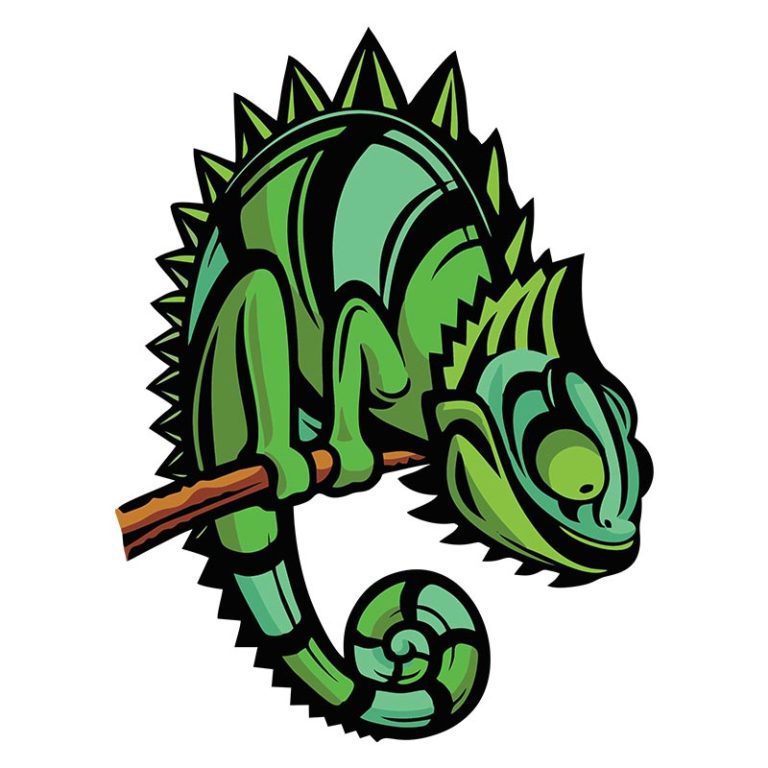 High Casqued Chameleon Vector Art - Design Shop by AquaDigitizing