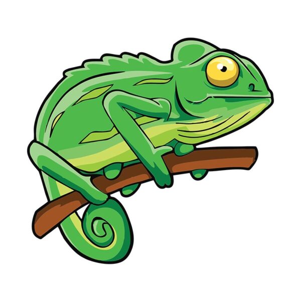 Common Green Chameleon Vector Art - Design Shop by AquaDigitizing