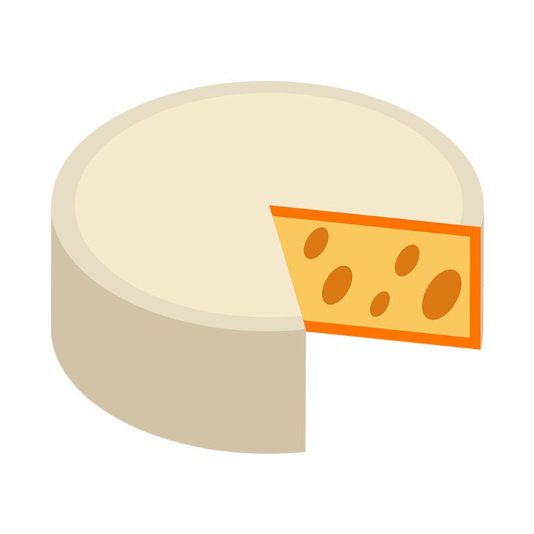 Fragile Brie Cheese Vector Art - Design Shop by AquaDigitizing