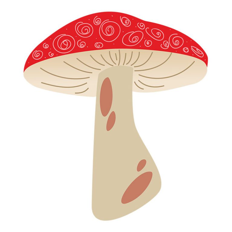 Mushroom Vector File - Design Shop by AquaDigitizing