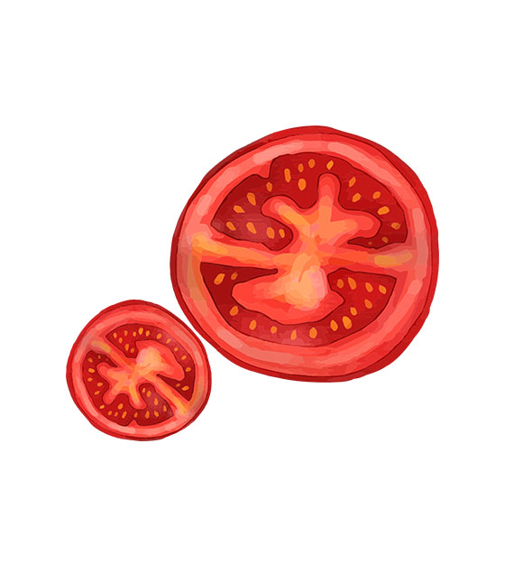 TOMATO SLICE VECTOR - Design Shop by AquaDigitizing