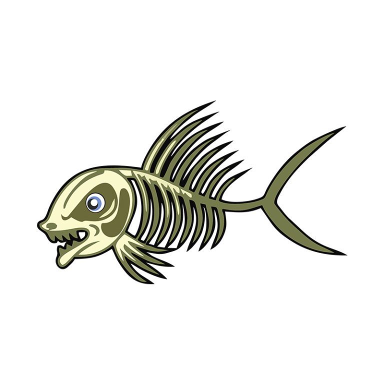 Sharp Snouted Piranha Fish Bone Vector Art - Design Shop by AquaDigitizing