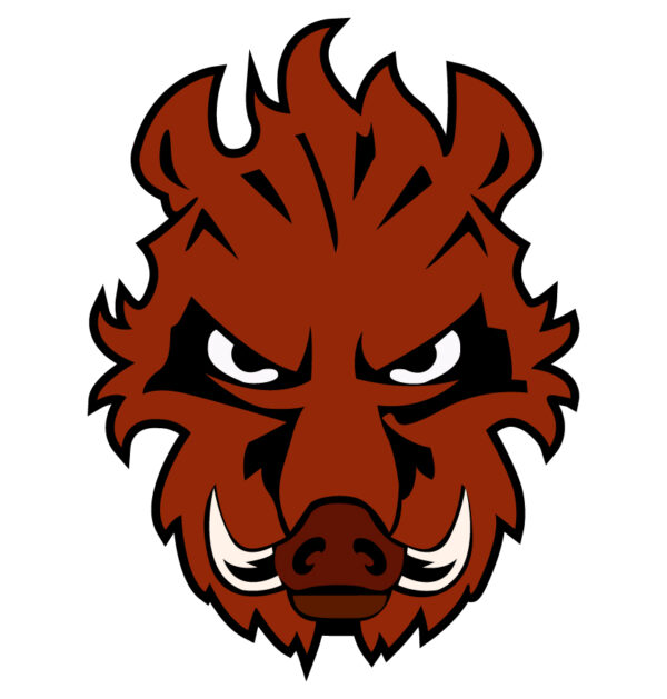angry boar face design - Design Shop by AquaDigitizing