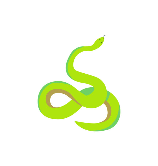 Green Snake Vectors - Design Shop by AquaDigitizing