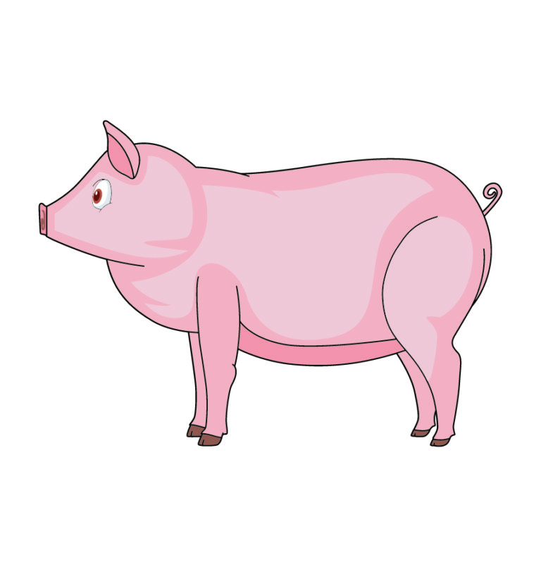 Pig Animal Vector - Design Shop by AquaDigitizing