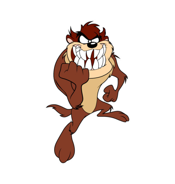 Taz cartoon - Design Shop by AquaDigitizing