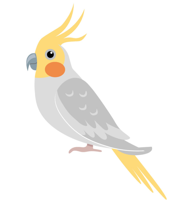 Cockatiel Birds vector - Design Shop by AquaDigitizing
