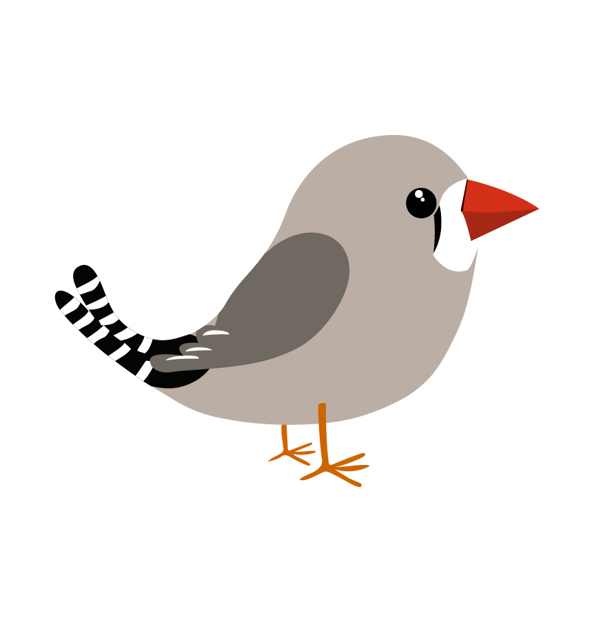 Finches cartoon - Design Shop by AquaDigitizing