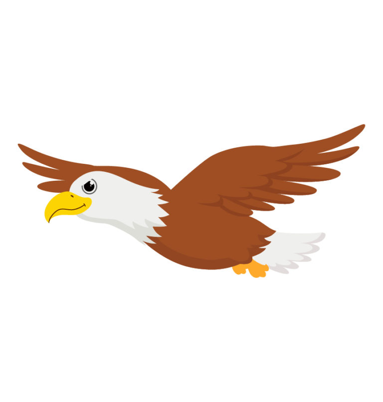 hawk bird - Design Shop by AquaDigitizing