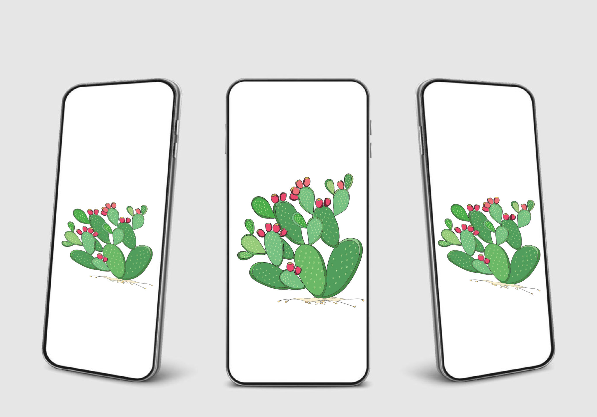 Royal Cacti Vector - Design Shop by AquaDigitizing