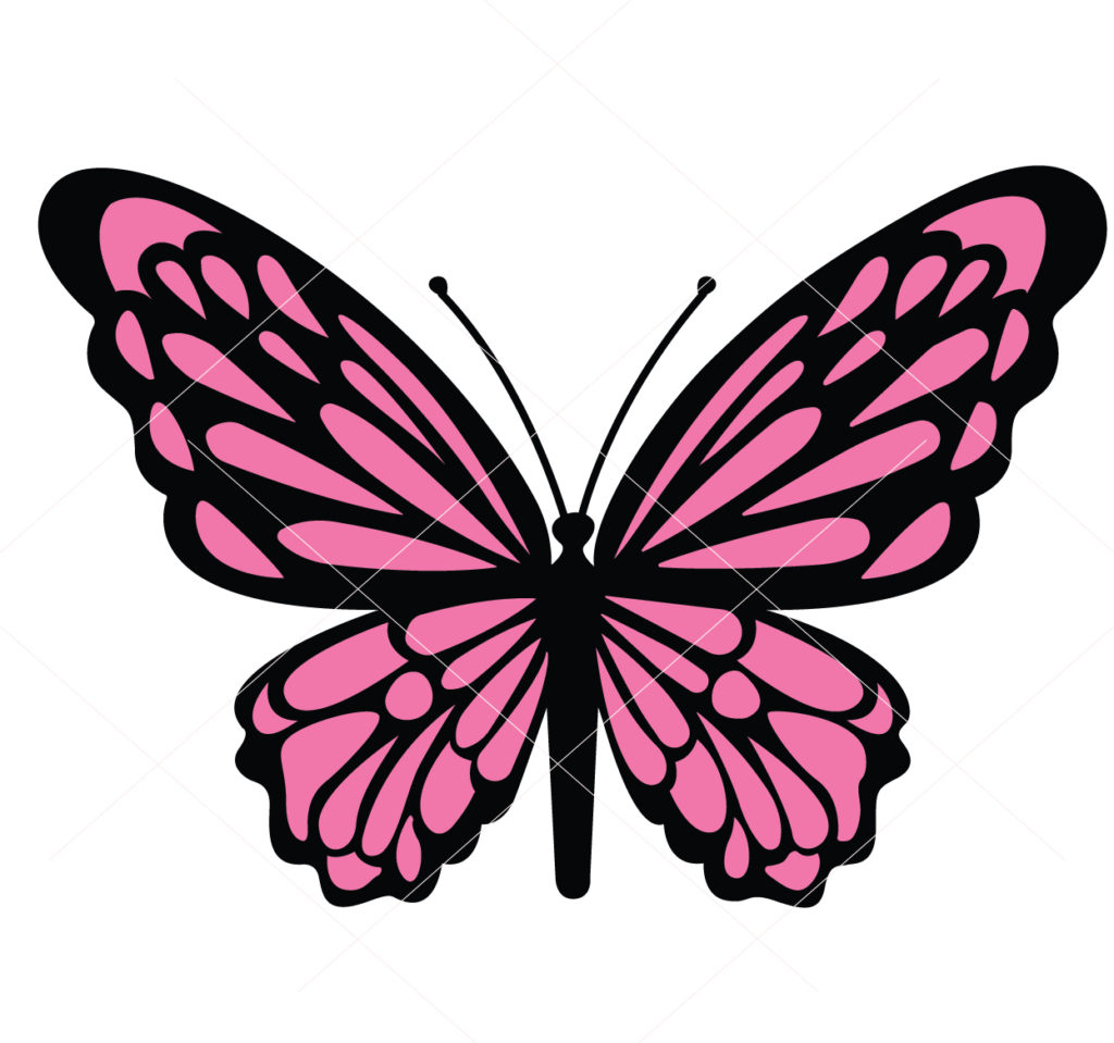 Butterfly Vector Cut File Cricut Vector - Design Shop by AquaDigitizing
