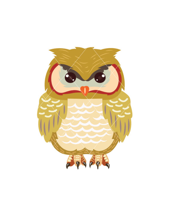 Owl Confused Cartoon Vector - Design Shop by AquaDigitizing